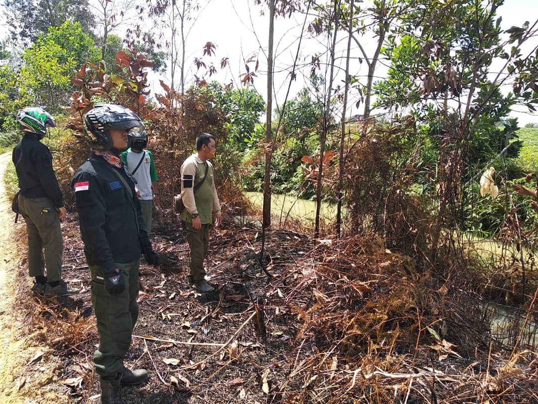 Usir Perambah sebagai Peringatan Pertama - Ditjen Konservasi Sumber ...