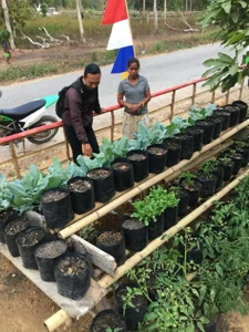 Berita • SEMARAKKAN HUT KEMERDEKAAN KE-74 REPUBLIK INDONESIA BALAI ...